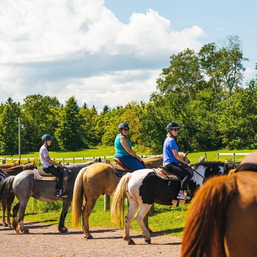 Private Family Trail & Beach Ride | Brudenell Riding Stables